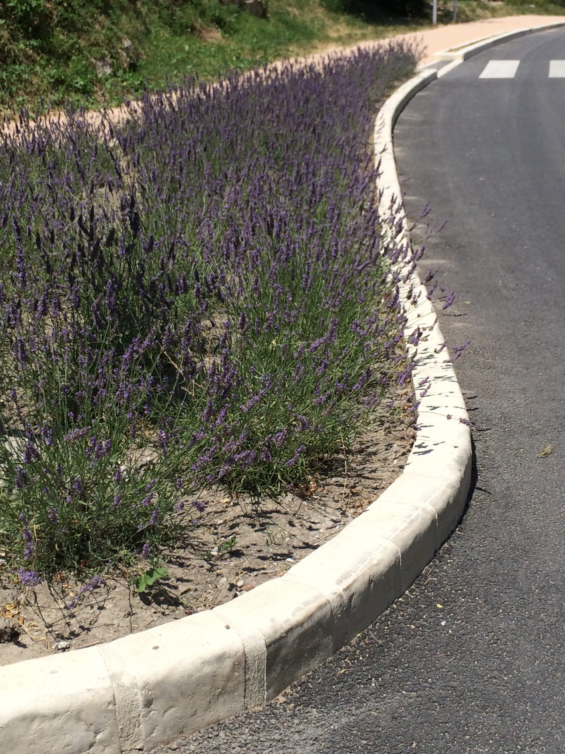 CALADIA, une source d'inspiration au service des collectivités - Fabemi